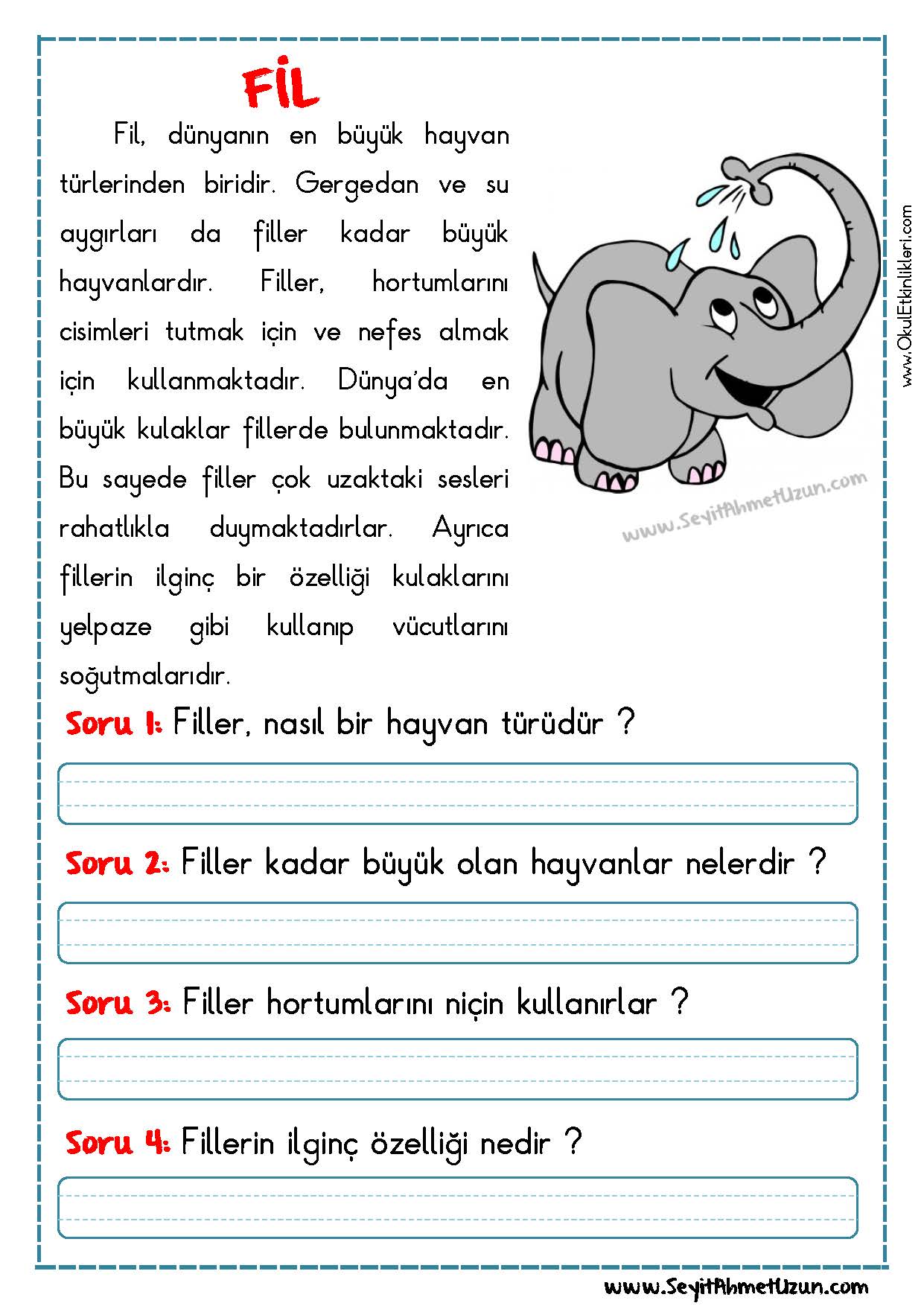 OKUMA ANLAMA METNİ – FİL - Seyit Ahmet Uzun – Eğitime Yeni Bir Bakış